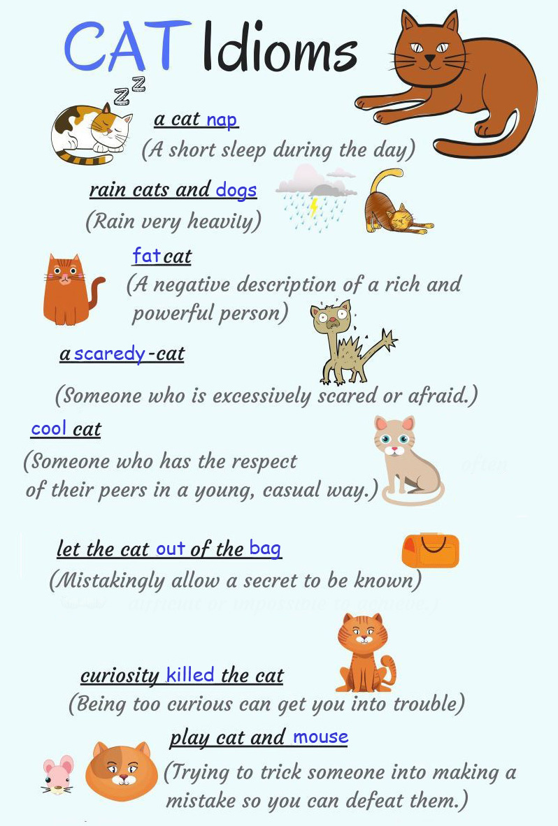 TLW English Classroom ~ Level Three ~ Intermediate ~ Module Five